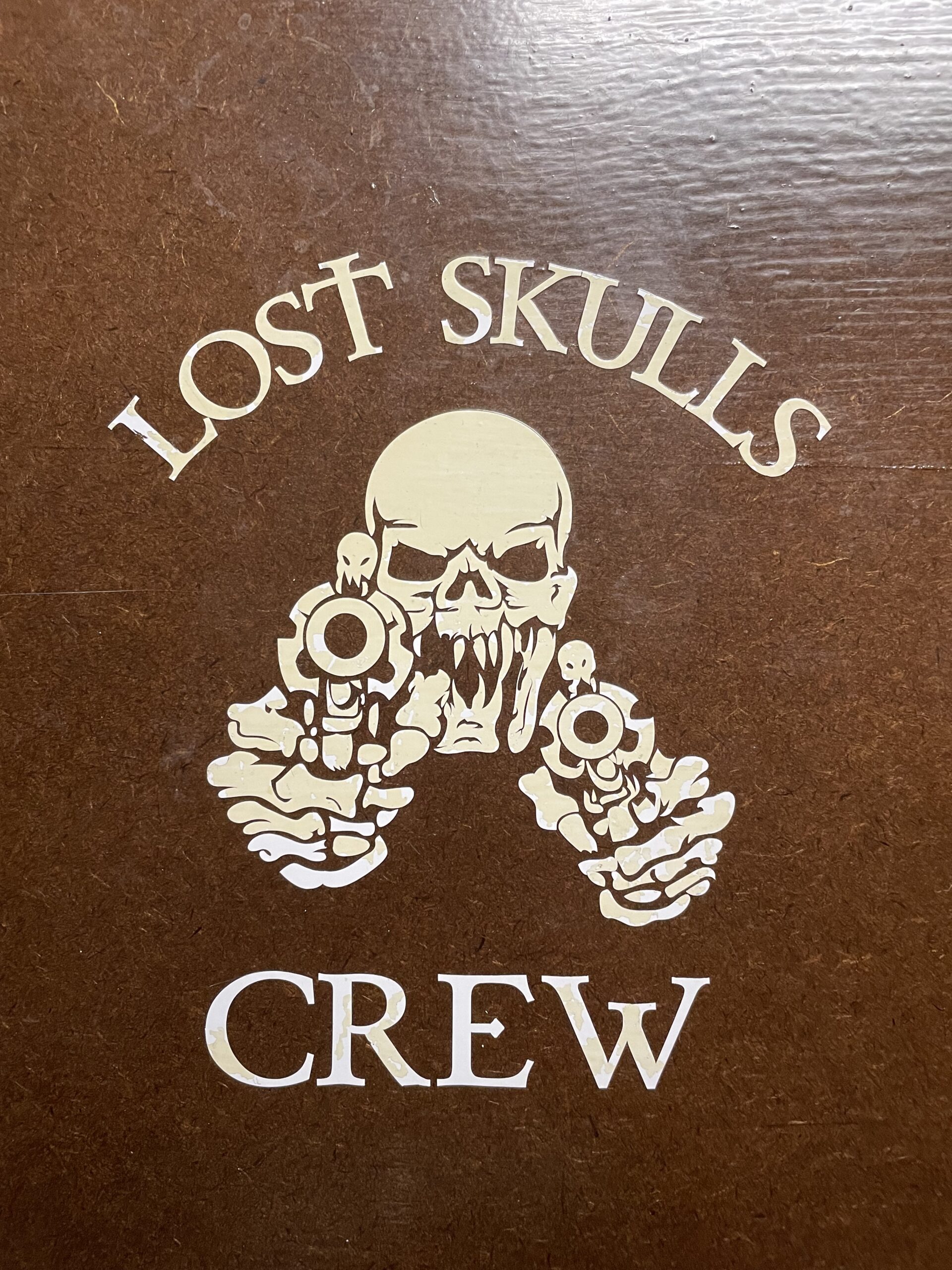 Lost Skulls Crew - GotAED.org