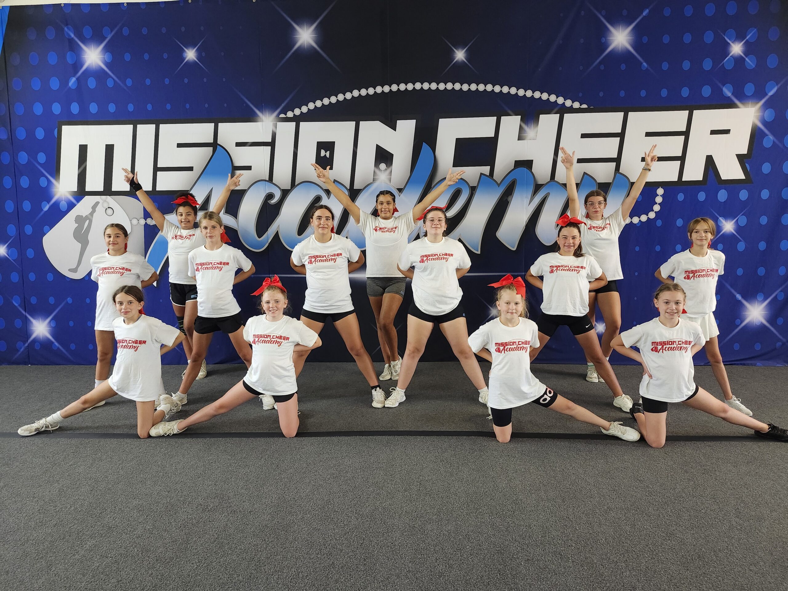 Help Mission Cheer Obtain an AED - gotaed